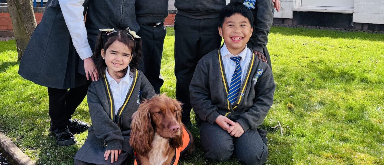Our School Dog Ruby! – Hawkesley Church Primary Academy – Birmingham ...
